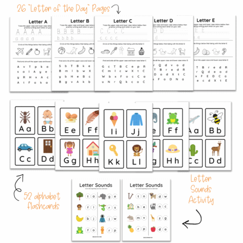 Letter of the Day Bundle + Alphabet Flashcards - Little Learning Club