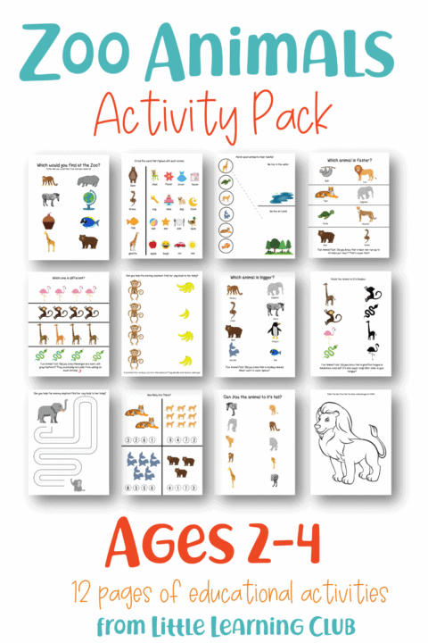 "At the Zoo" Educational Activity Pack- Ages 2-4 - Little Learning Club