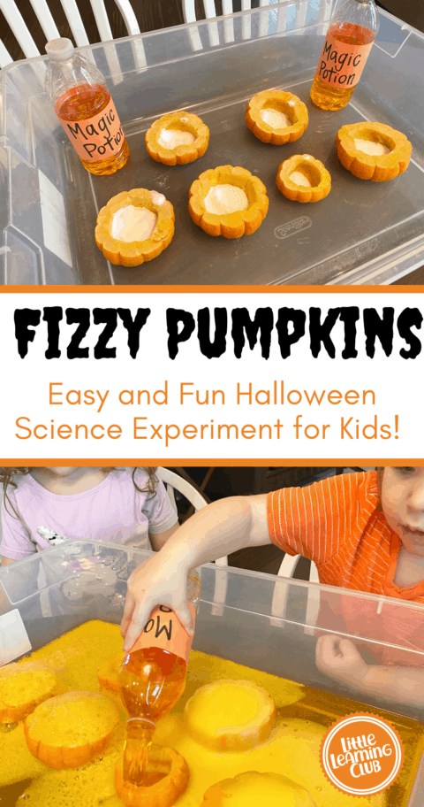 15+ Halloween Activities for Toddlers - Little Learning Club